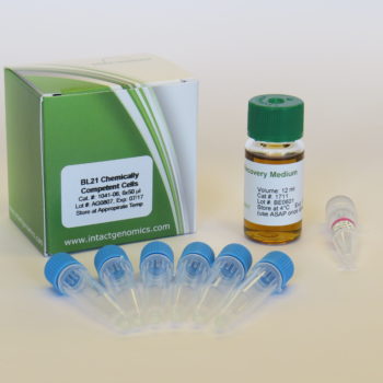 BL21 (DE3) Electrocompetent Cells