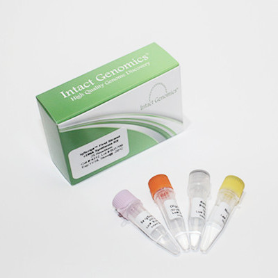 First Strand cDNA Synthesis Kit | igScript™ | Intact Genomics