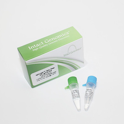 One Step RT-qPCR Kit | igScript™ | Intact Genomics