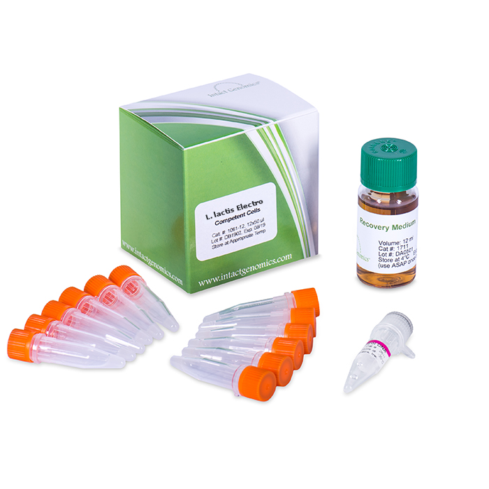 GV3101 ElectroCompetent Agrobacterium | ig™ | Intact Genomics