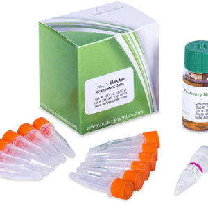 TG1 Phage Display Electrocompetent Cells - Intact Genomics