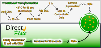 DirectPlate DH5-Alpha chemically competent E. coli cells | Intact Genomics